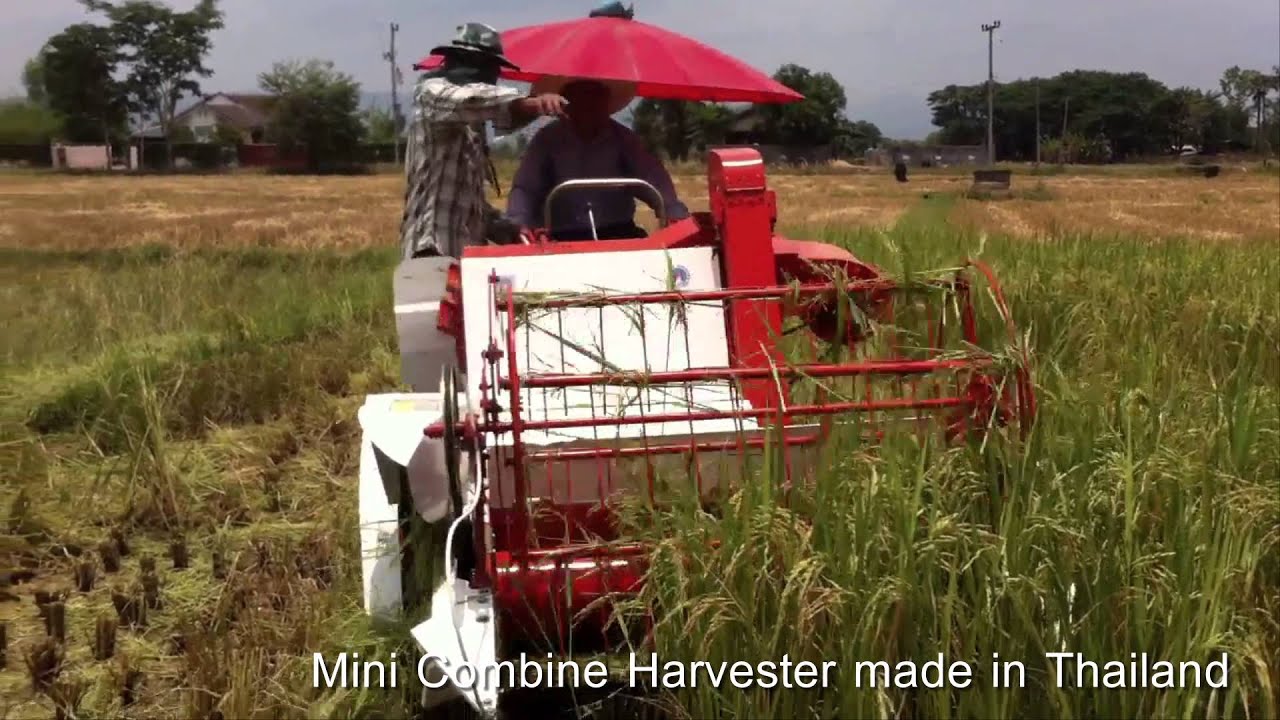 Mini Combine Harvester made in Thailand - YouTube