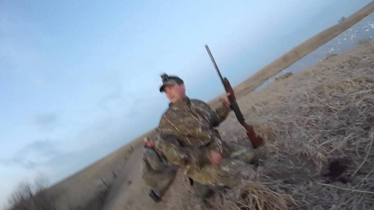 Snow Goose Jump 2,000+ Birds 2016 - YouTube