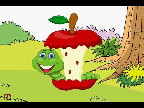 Rhymes LKG - Five Little Apples - YouTube
