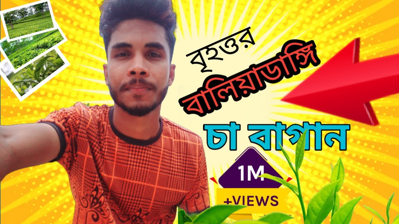 Punorjonmo 3 |পুনর্জন্ম ৩ | বালিয়াডাঙ্গি বৃহত্তর চা বাগান 😲 ...