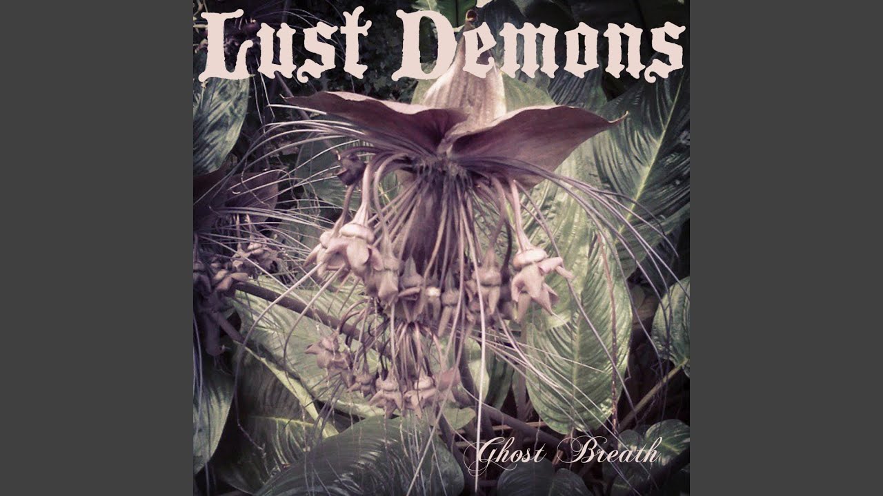 Occult Vibes - YouTube