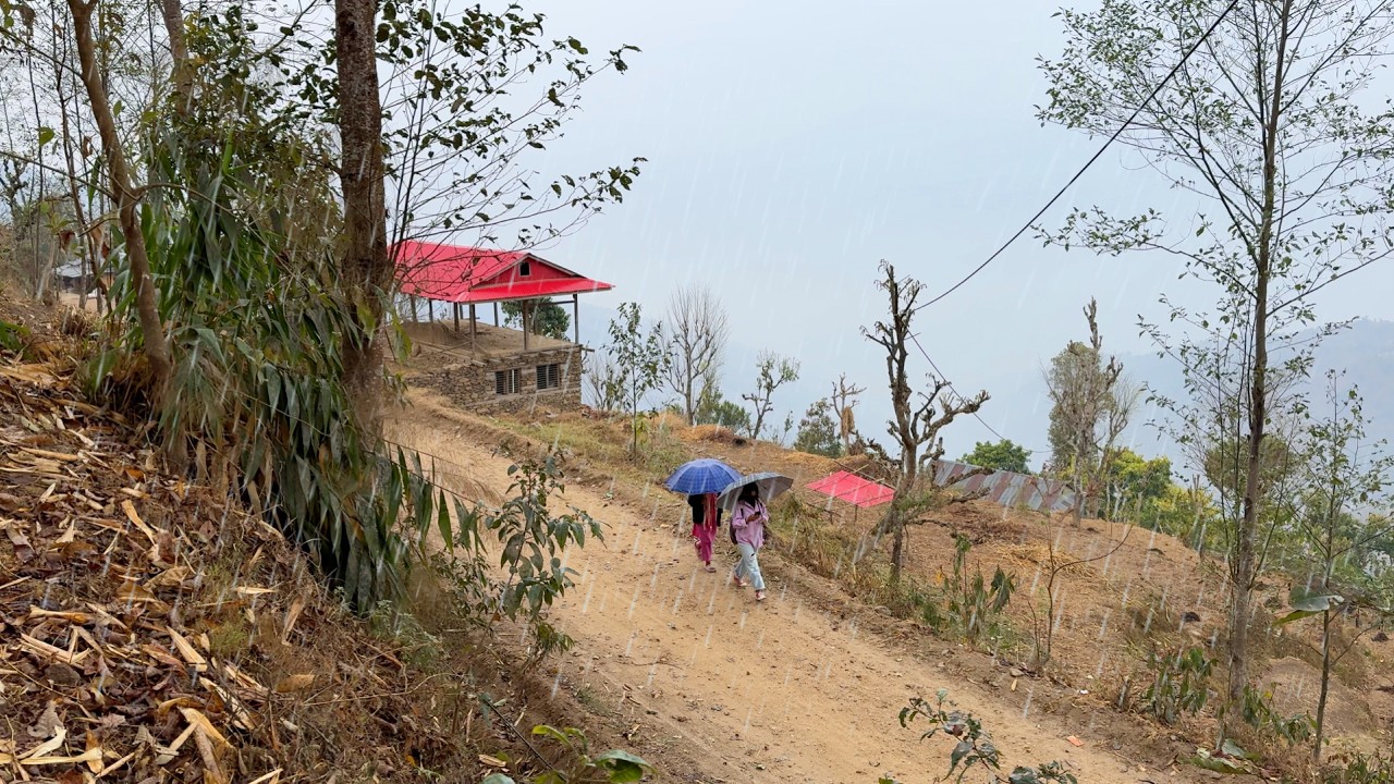 Serene Rain Walk in Village | Peaceful & Relaxing Rural Atmosphere ...