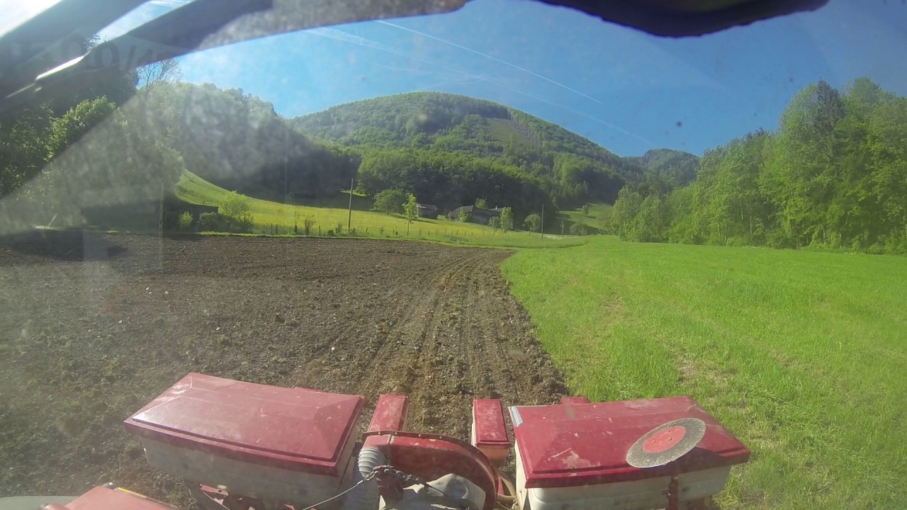 Mais 🌽 anbauen mit einer 4reihigen Maschine und einem Same Silver Continuo 110 - YouTube