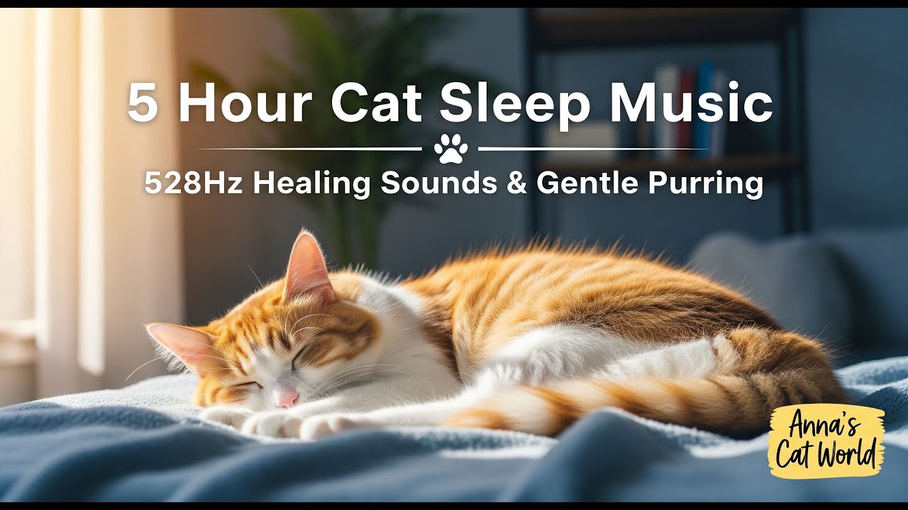 5 Hour Cat Sleep Music – 528Hz Healing Sounds & Gentle Purring #cat # ...