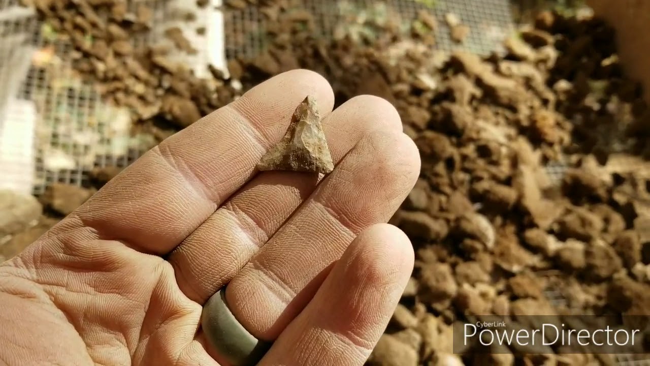 Overhang dig number 4 - KILLER BONE NEEDLE - YouTube