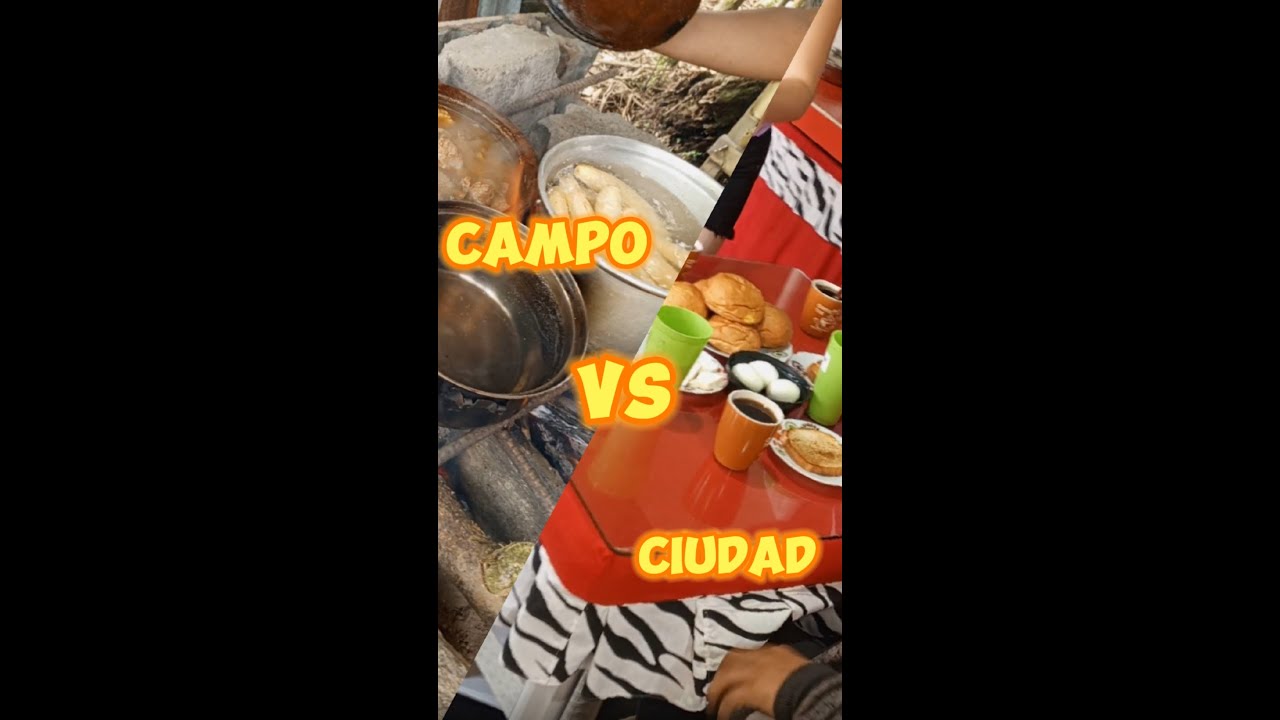 Diferencias entre la ciudad y el campo🏙️ ⛰️🤣 - YouTube