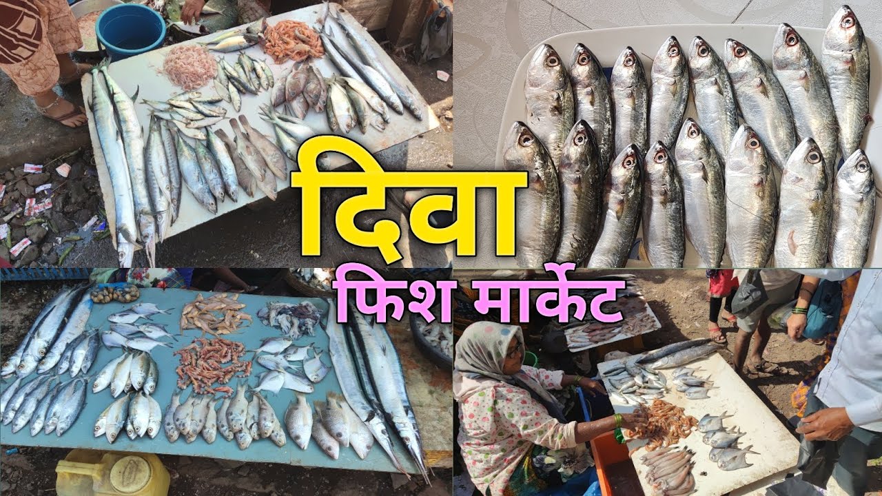 खुपच स्वस्त मासे घेतले आईने दिवा फिश मार्केट मधुन | Diva Fish Market ...