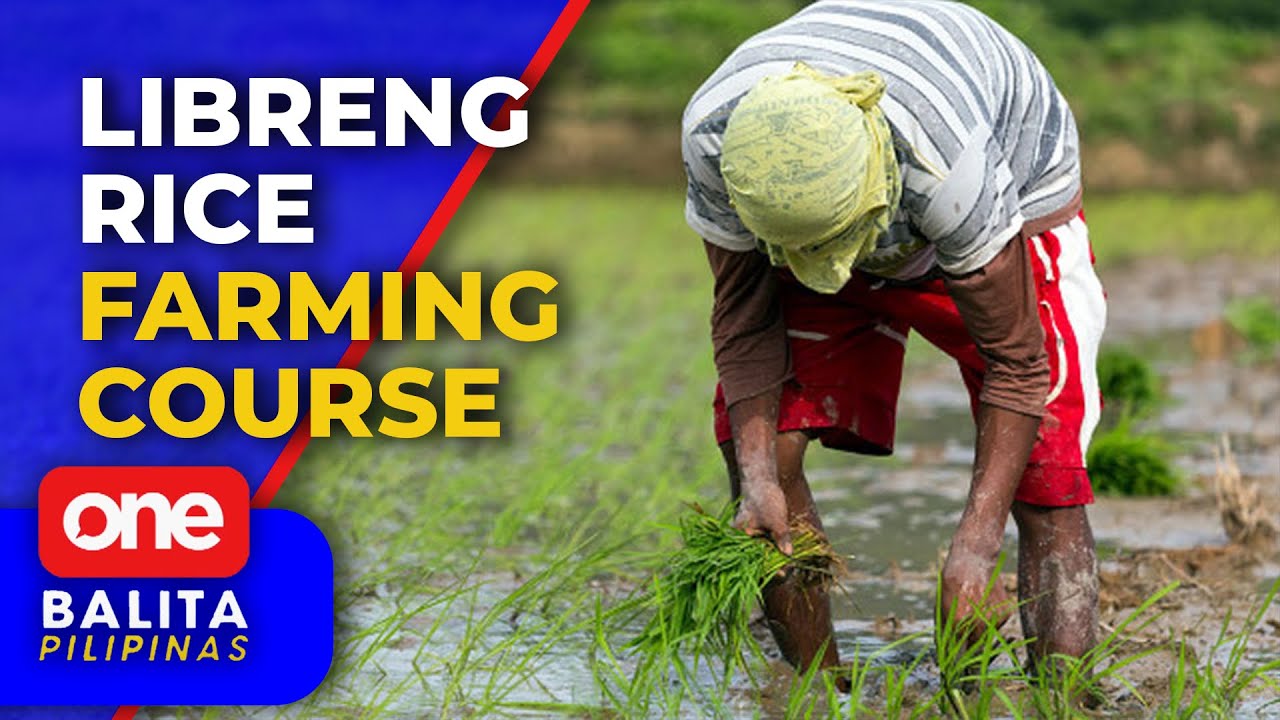 TESDA's Rice Extension Service Program - YouTube
