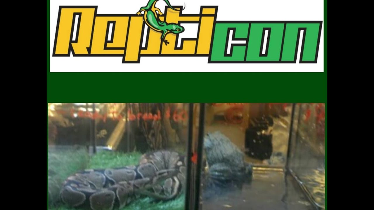 Repticon Atlanta April 2017! - YouTube