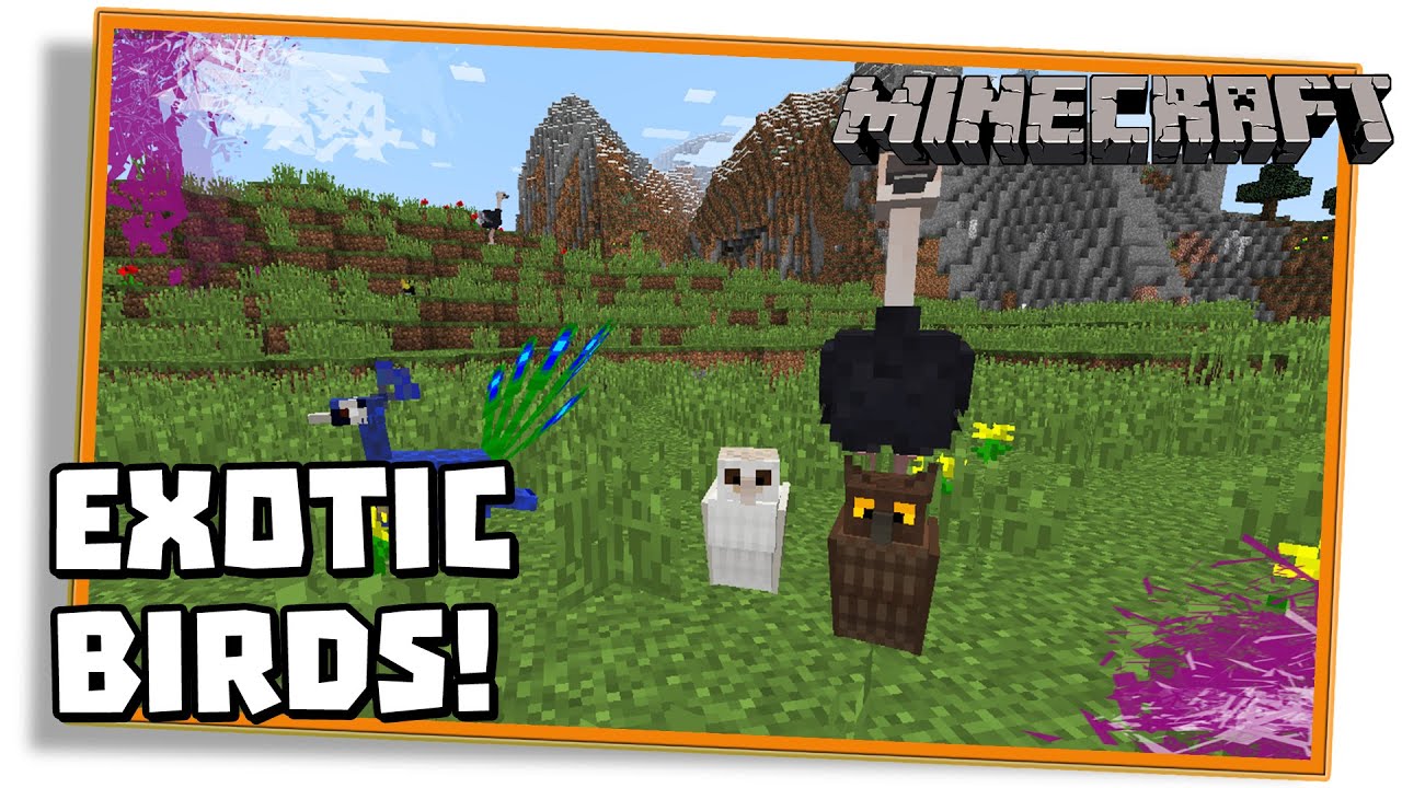 Minecraft Mods: PAVÃO E MUITOS PÁSSAROS NO MINECRAFT! (Exotic Birds ...