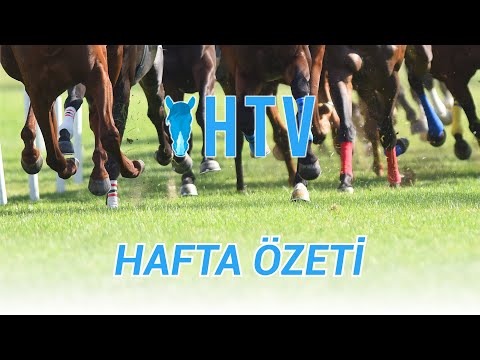 Türkiye At Yarışları - 20 Ocak - 26 Ocak Hafta Özeti