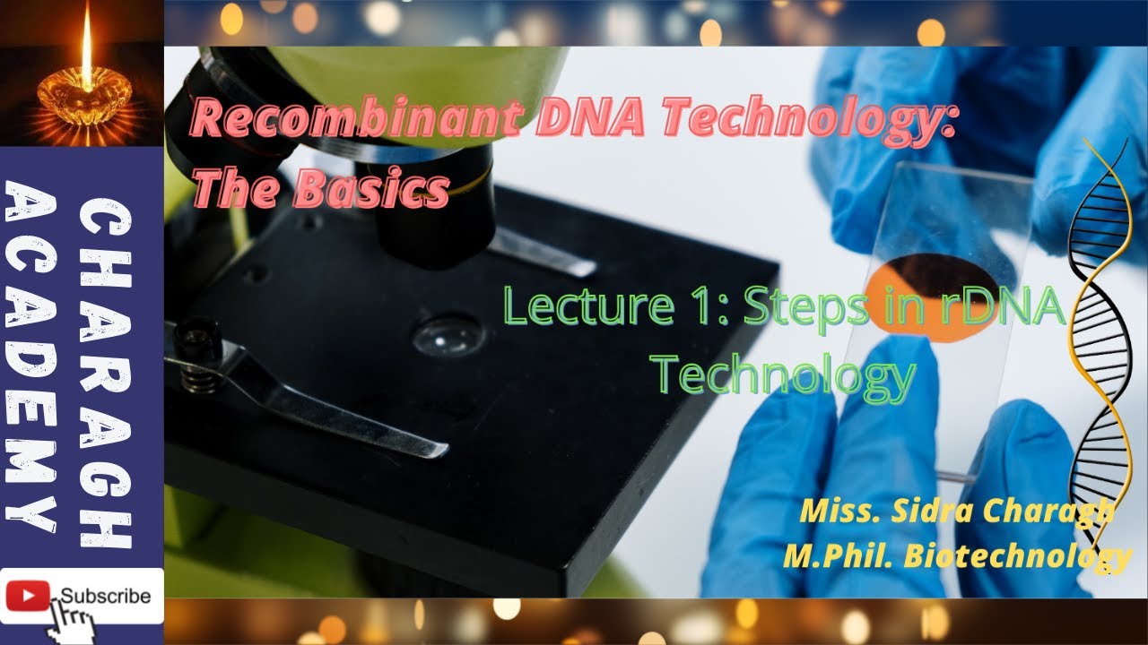 Recombinant DNA Technology: The Basics || Steps of Recombinant DNA ...
