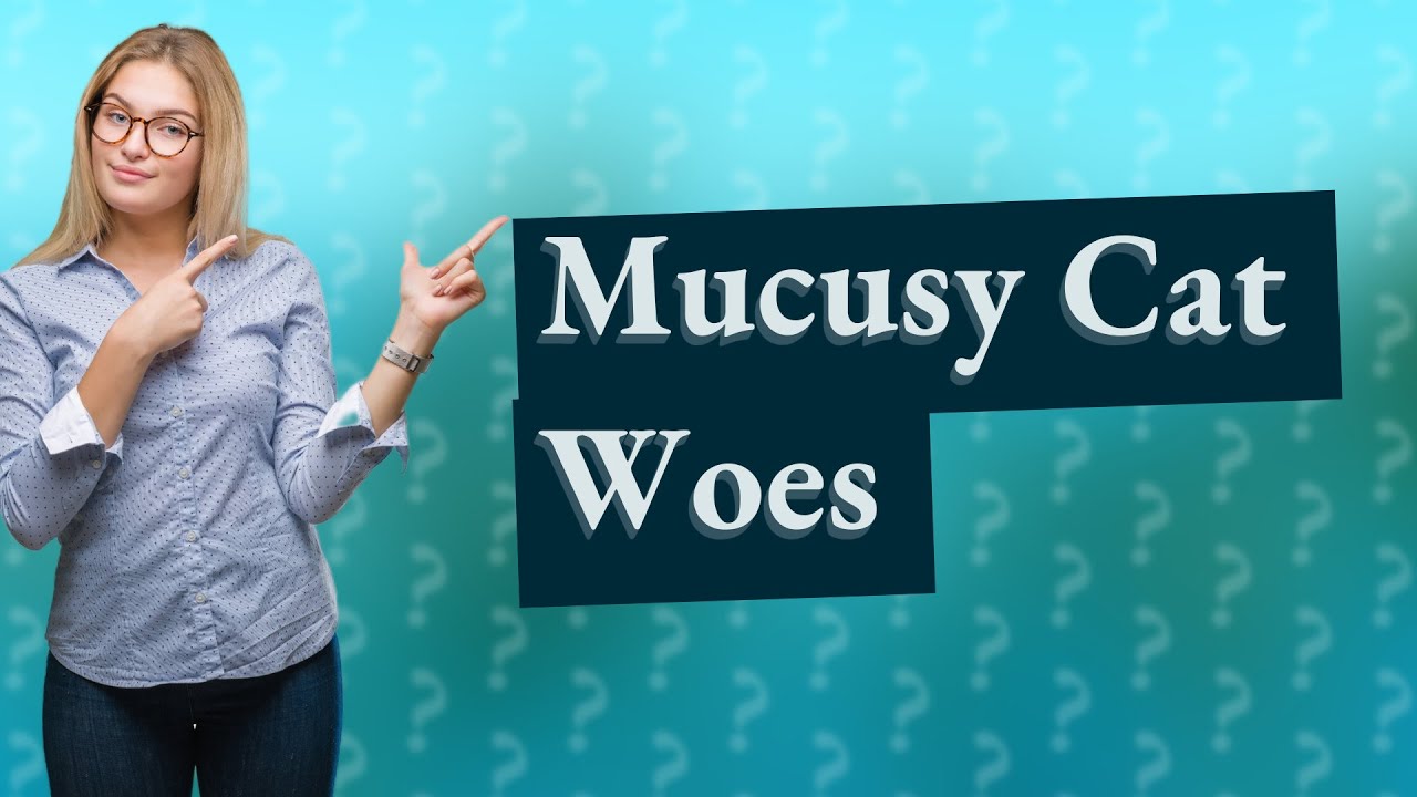 Why does it sound like my cat has mucus? - YouTube