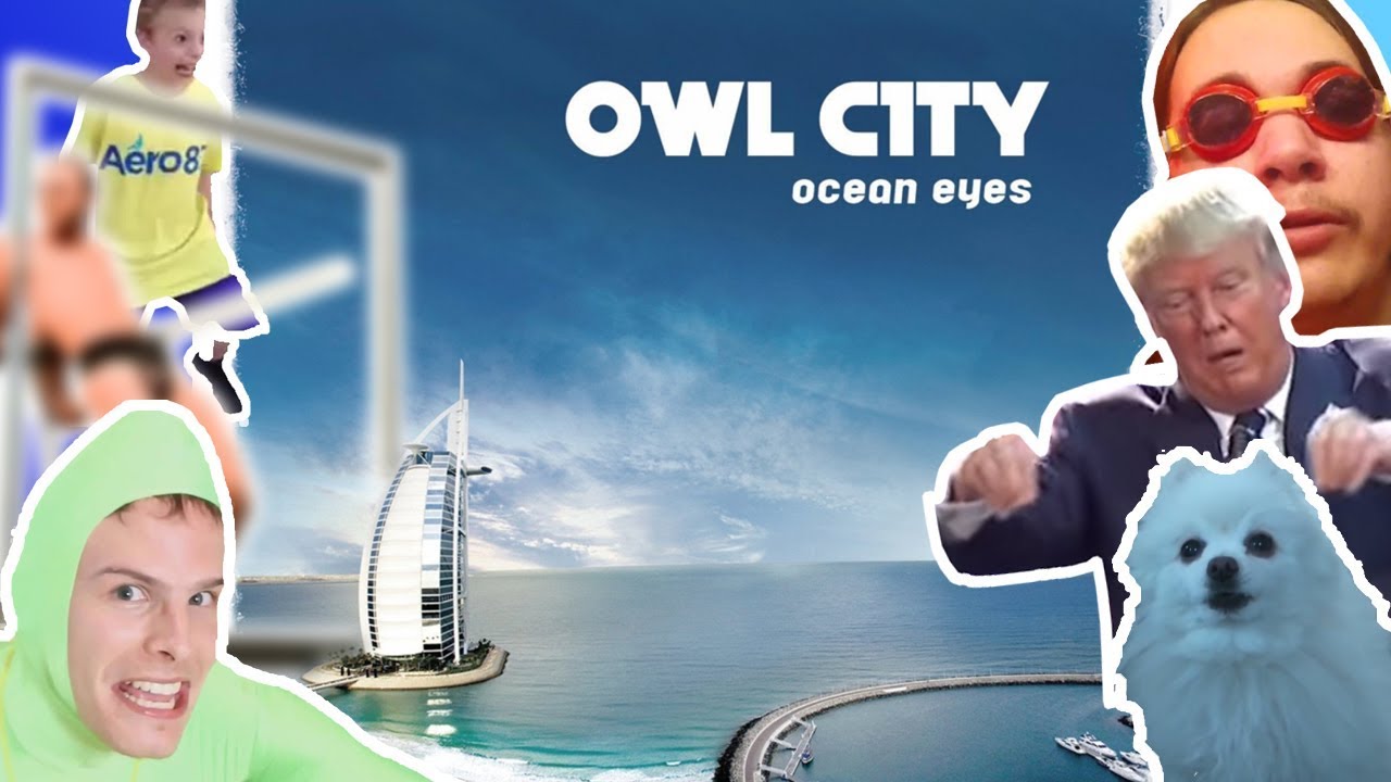 Owl City - Fireflies (Meme cover) | Reuploaded - YouTube