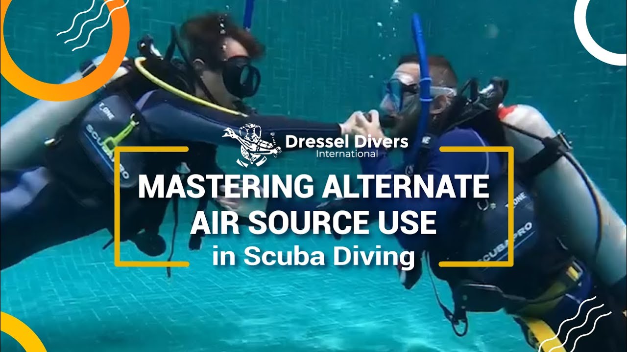 Mastering ALTERNATE AIR SOURCES USE in Scuba Diving - YouTube