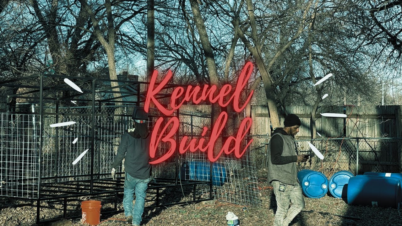 American Bully Dog Kennel Build | Crafting the Perfect Spaces for Your ...
