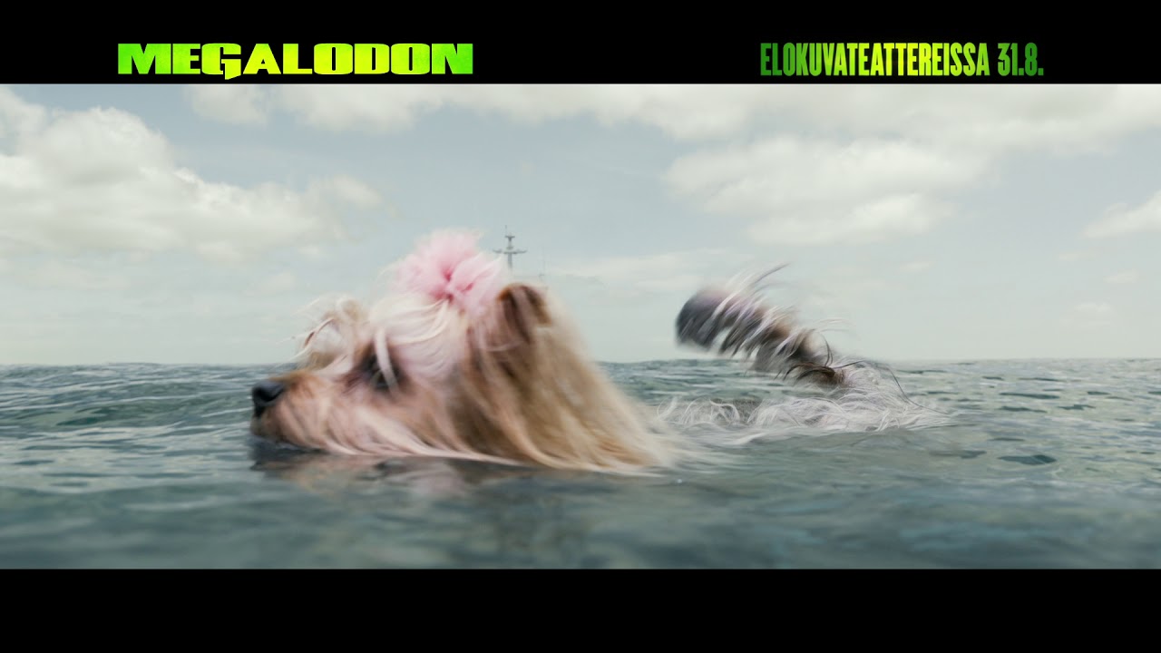 What Was The Dogs Name In The Meg