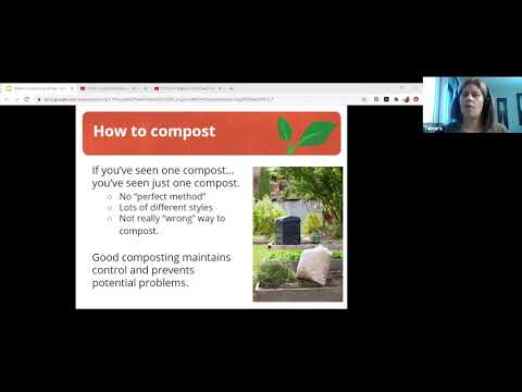 Sustainable Kitchen Series: Composting Basics - YouTube