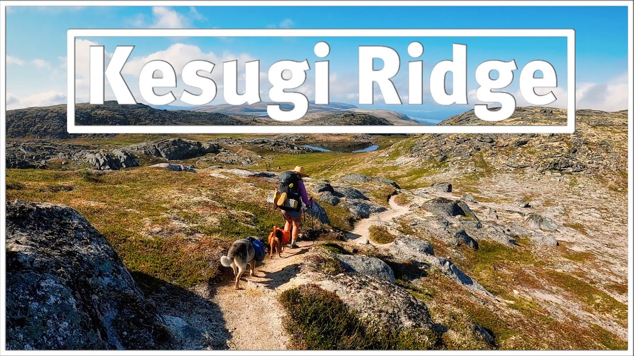 2021 Backpacking Kesugi Ridge Trail in Alaska's Denali State Park - YouTube