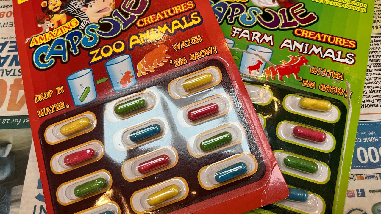 FRIZZLE CLUBHOUSE: Magic Capsules That Turn Into Animals! Sponges Experiment ...