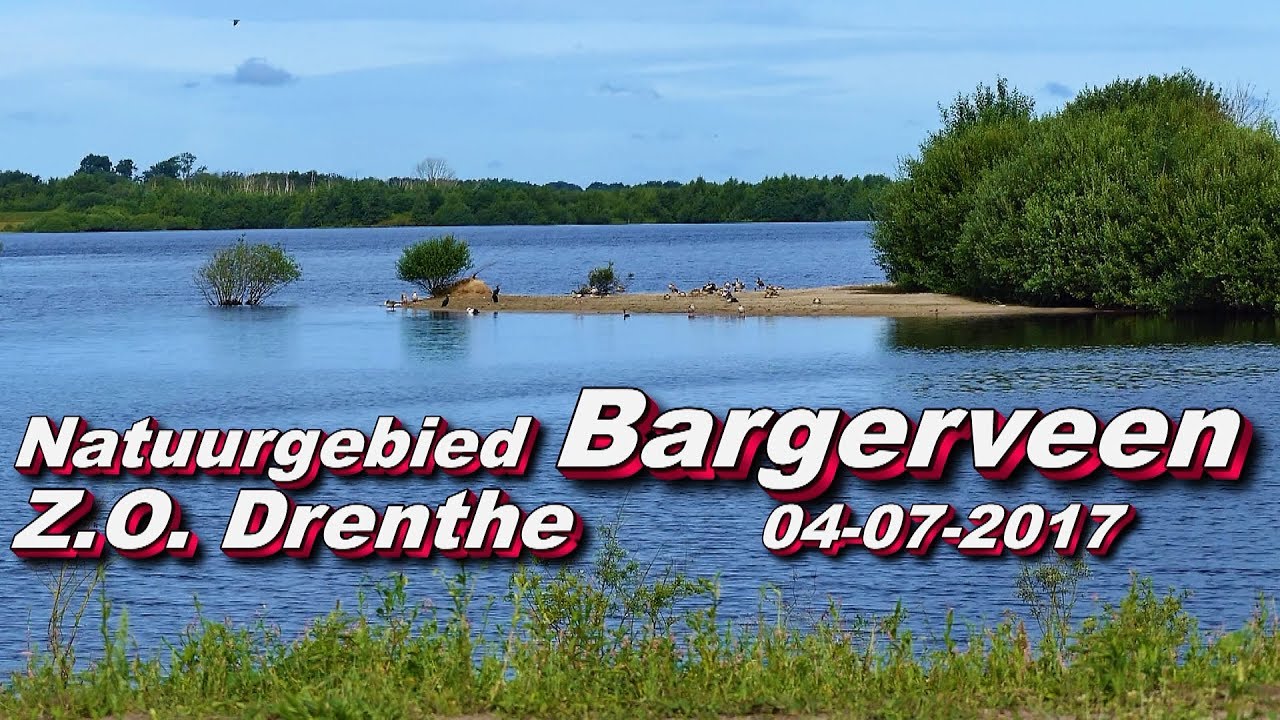 Natuurgebied Bargerveen Z O Drenthe 04 07 2017 - YouTube