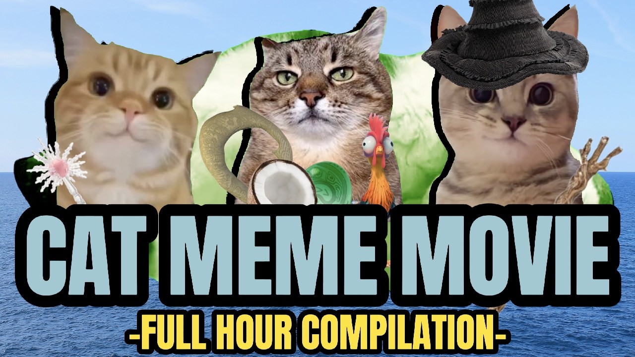 Cat MEMES: ULTIMATE CAT MEME MOVIE + DELETED SCENES - YouTube