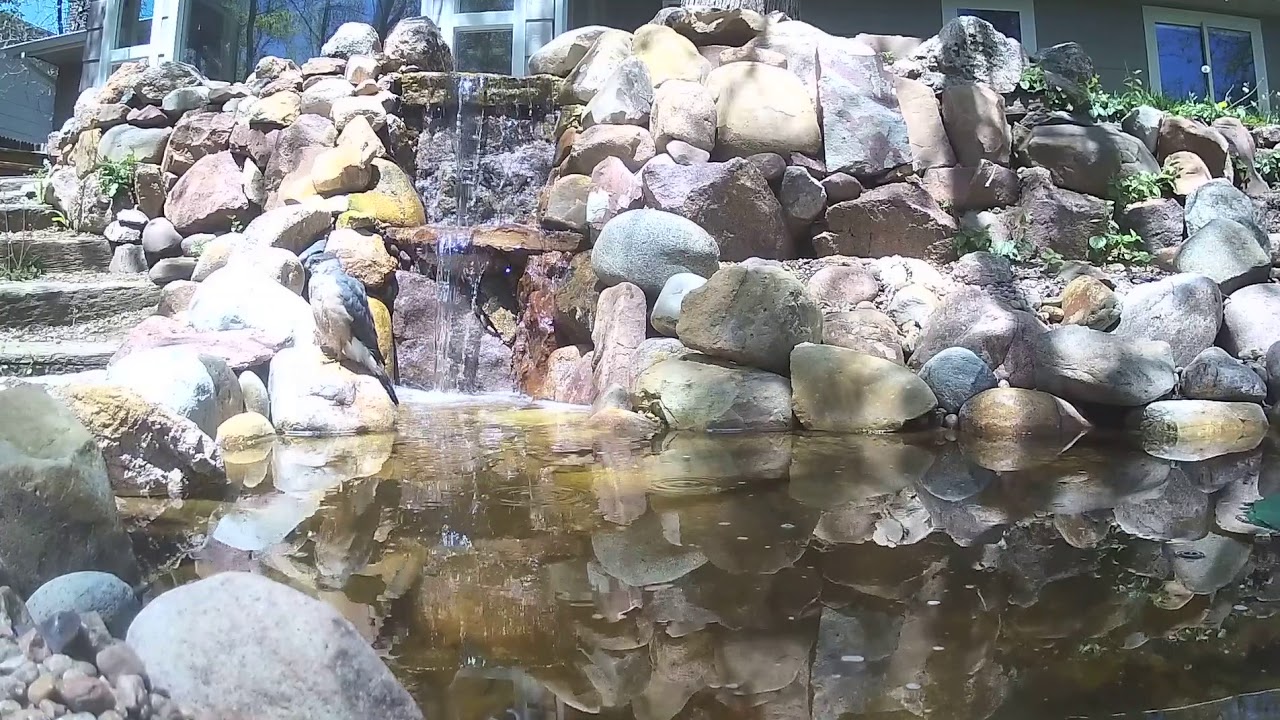 Hawk Full Visit - YouTube