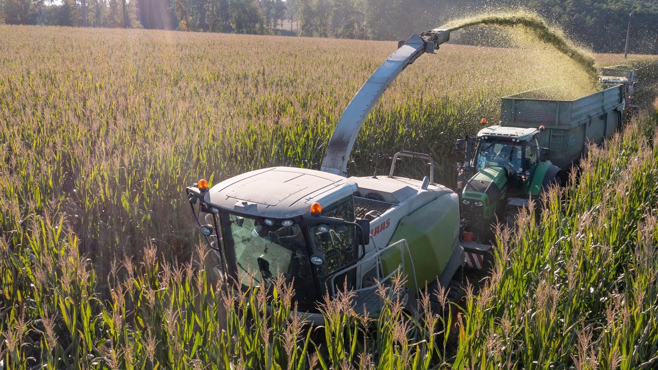 Silage in Závitkovice | Claas Jaguar 860 | Black and green Deutz-Fahr ...
