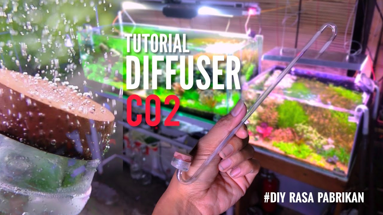 Tutorial Diffuser Co2 - DIY rasa PABRIKAN - YouTube