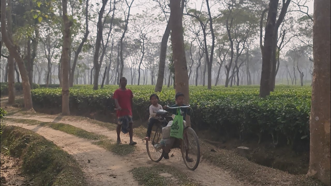 Tour The Tea capital city (@hellosreemangal) - YouTube