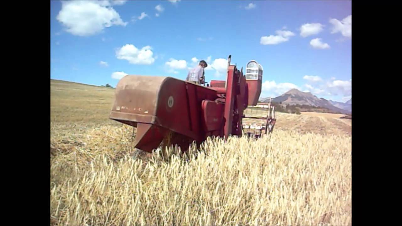 F8-63 French IH combine by Cyril Disdier - YouTube