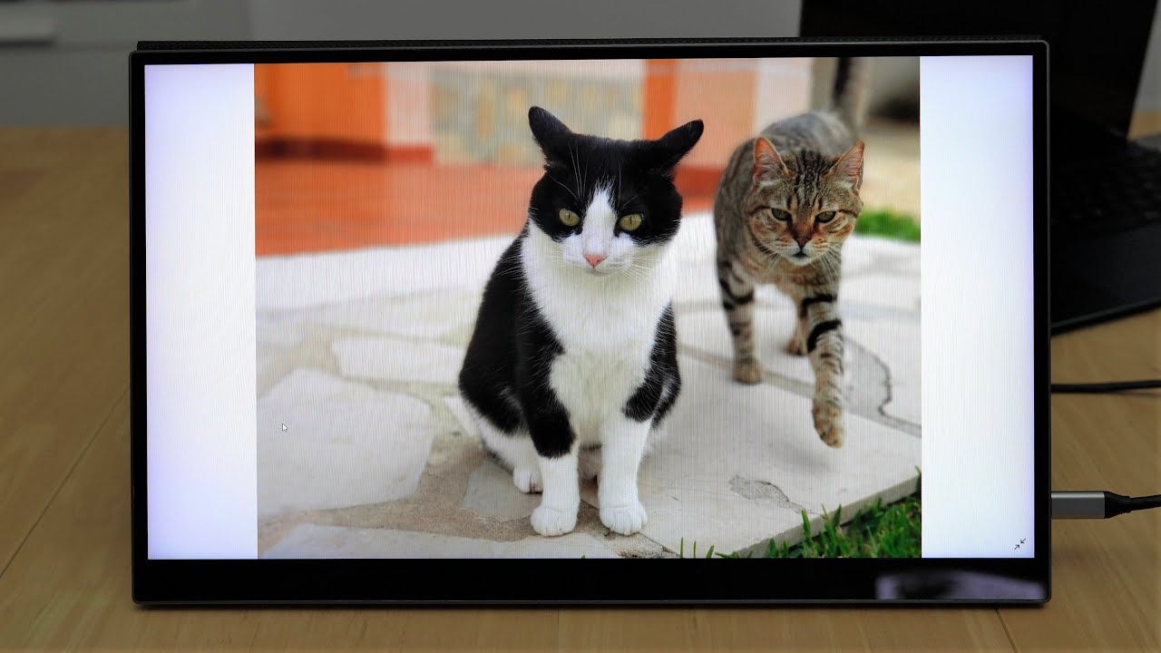 BEST Portable Type-C Monitor Reviewed! QLED, 760nits With 90% Adobe RGB ...