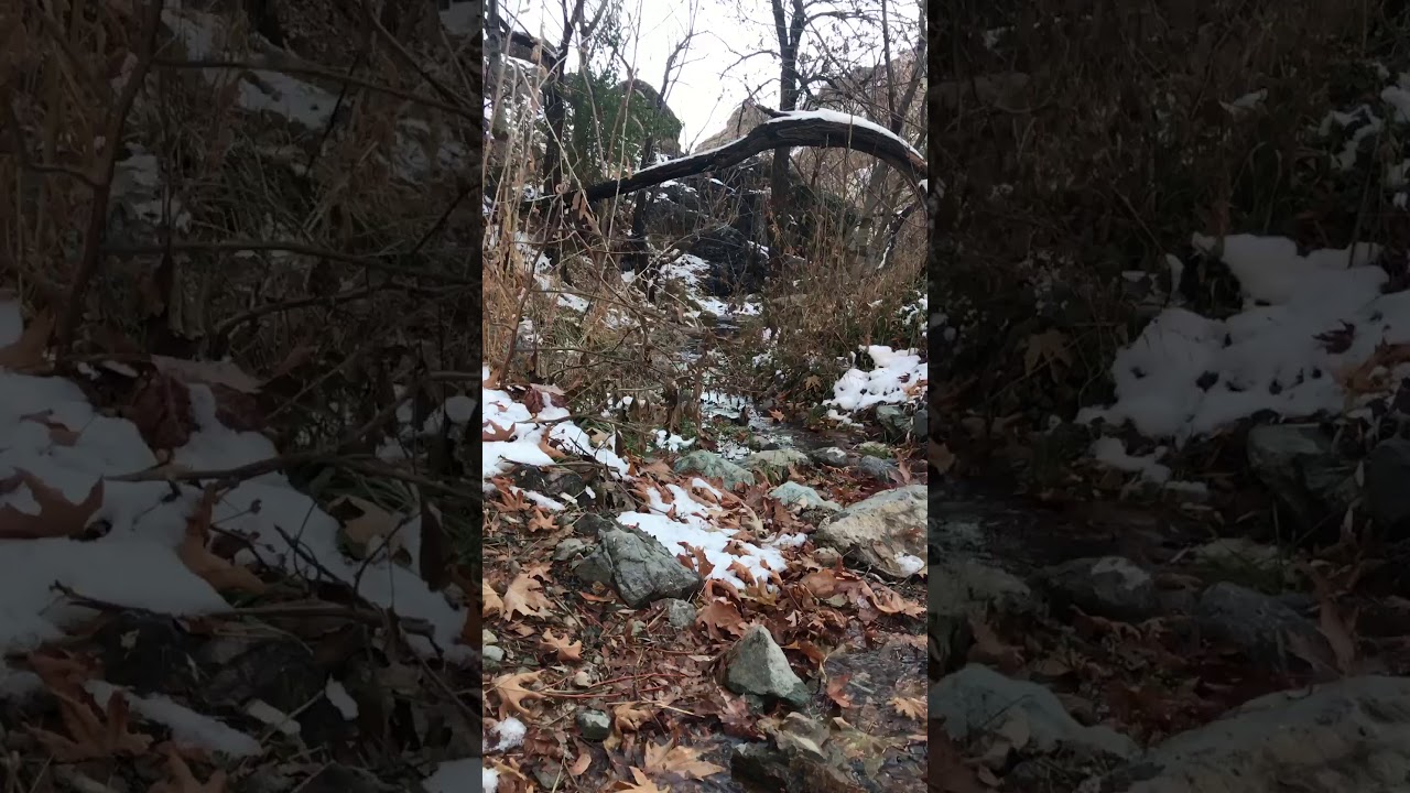 tehran in fall - YouTube