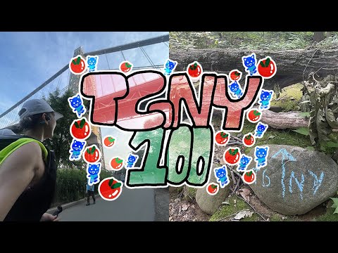 TGNY 100: A Rookie Ultramarathoner's Journey to 100K in NYC / 100km ...