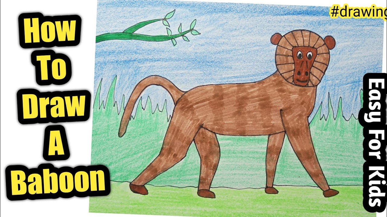 World’s Largest Monkey | Learn How To Draw A Baboon Easy & Simple ...