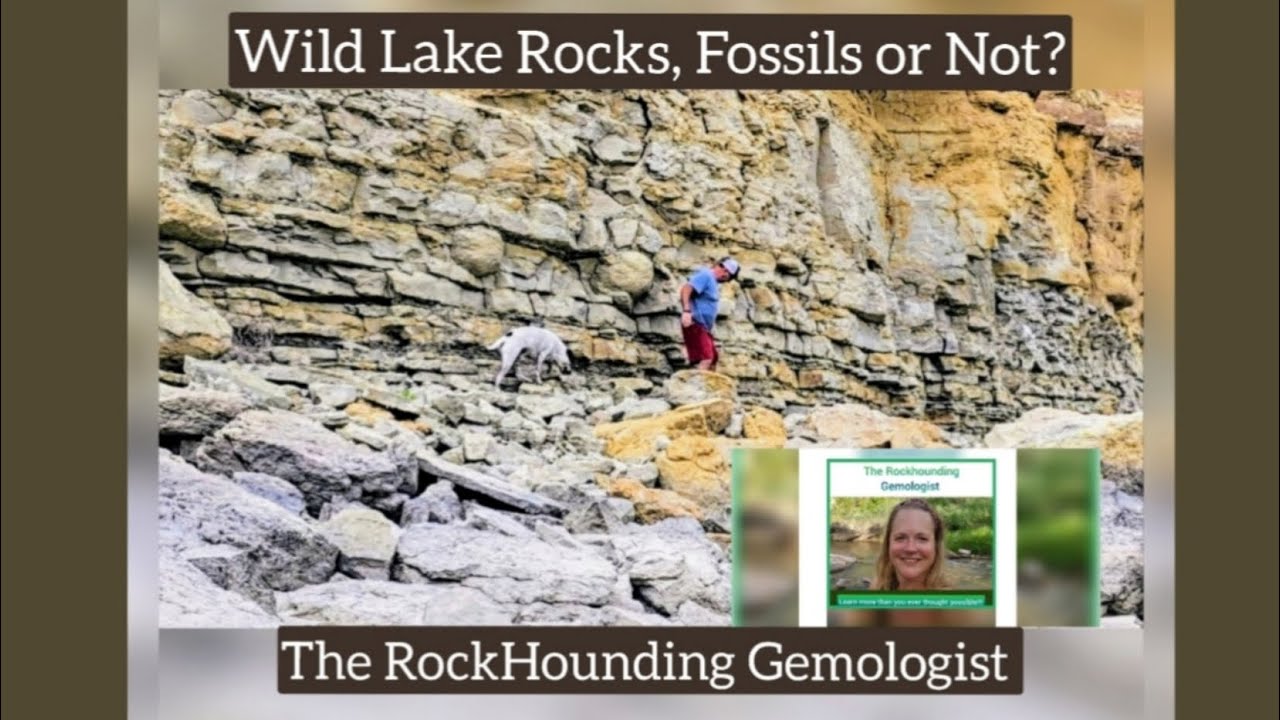 I Dug Up Weird Fossils From My Local Lake - YouTube