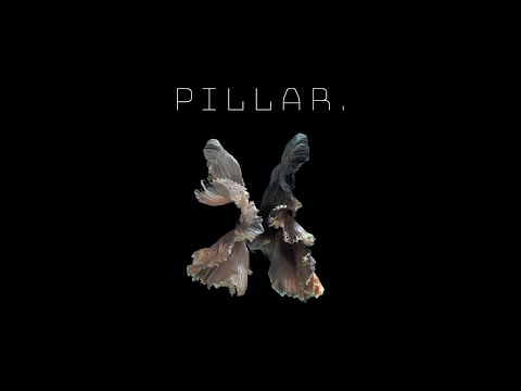 PILLAR.