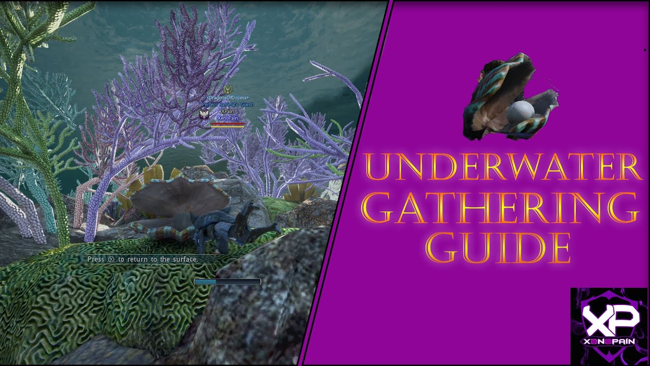 (Console)Black Desert Online Underwater Gathering Guide!!(2021) - YouTube