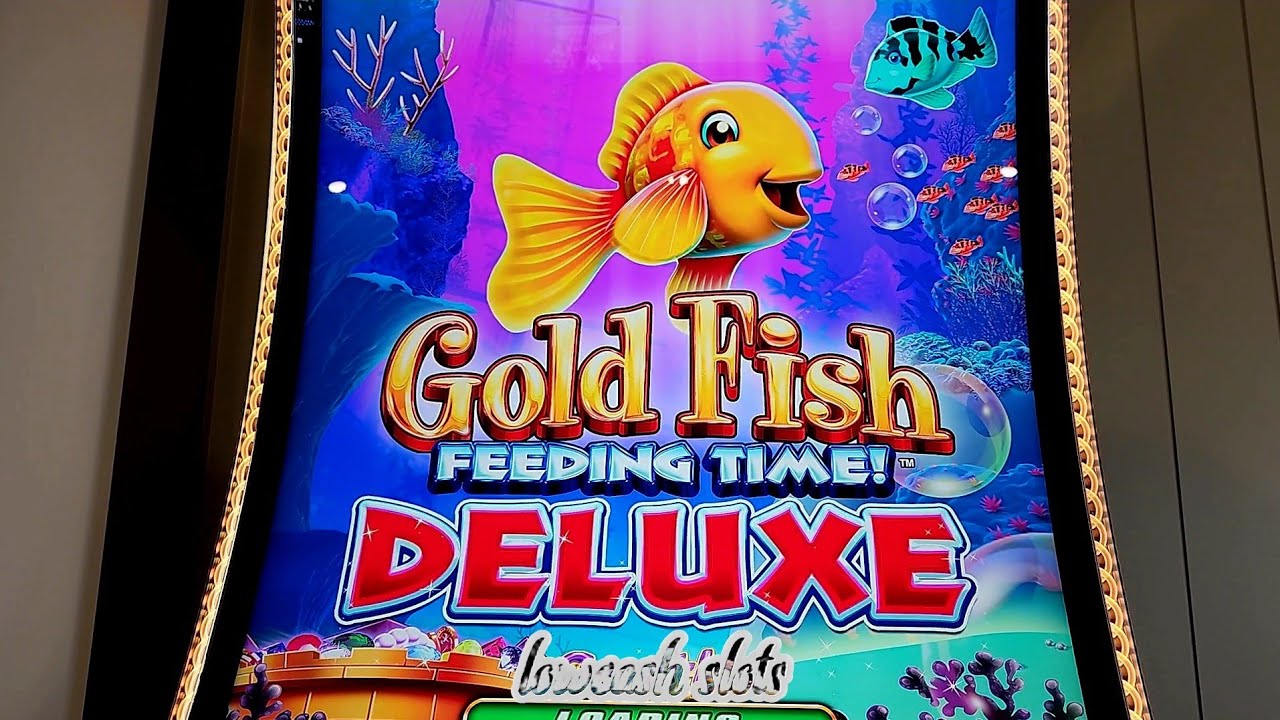 GOLDFISH FEEDING TIME DELUXE BONUS. .. first attempt - YouTube