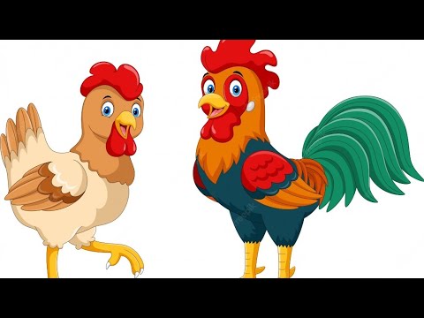 Xoruz və Toyuq | Xoruz ve Toyuq | Yunan Nağılı | Horoz ve Tavuk
