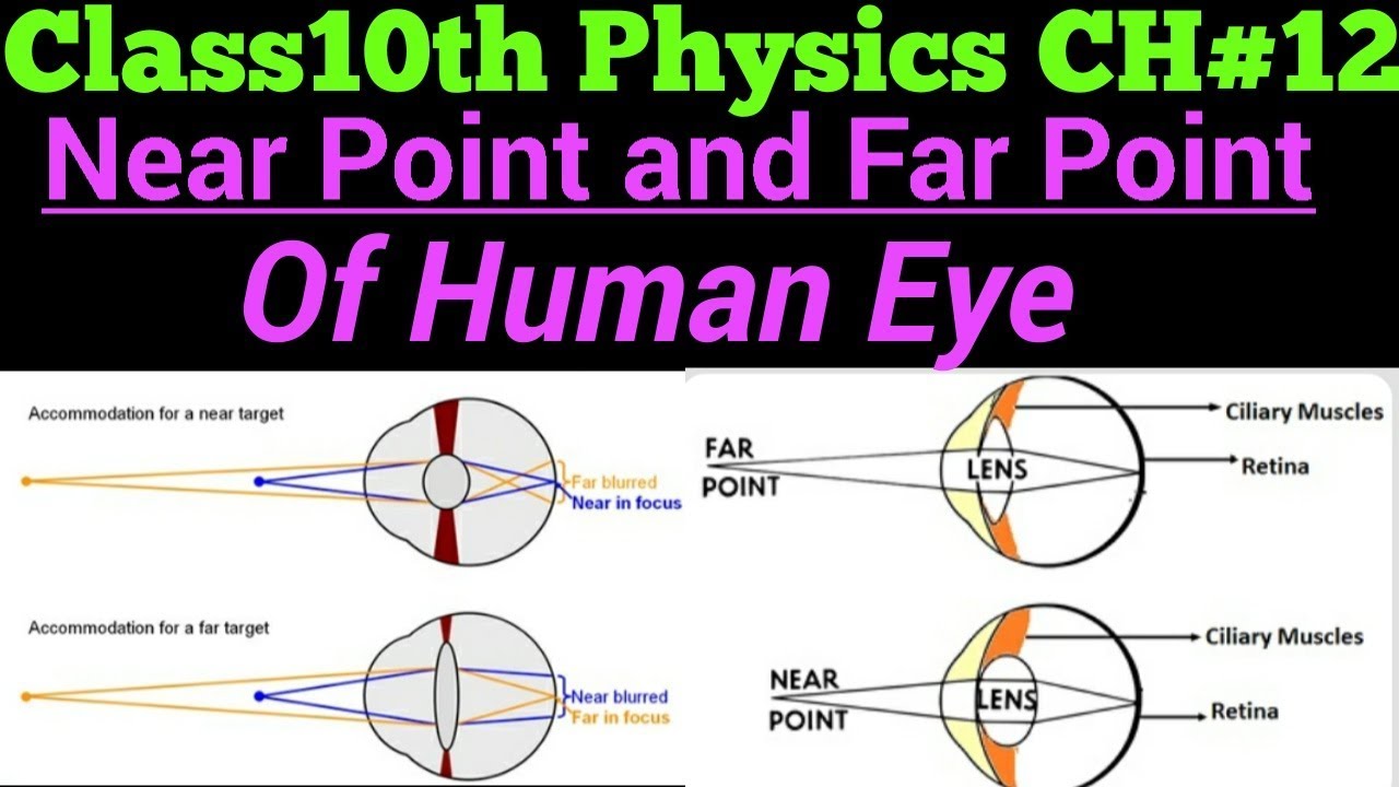 10th Class Physics, Ch 12,Near point And For Point Of an Eye - Class ...