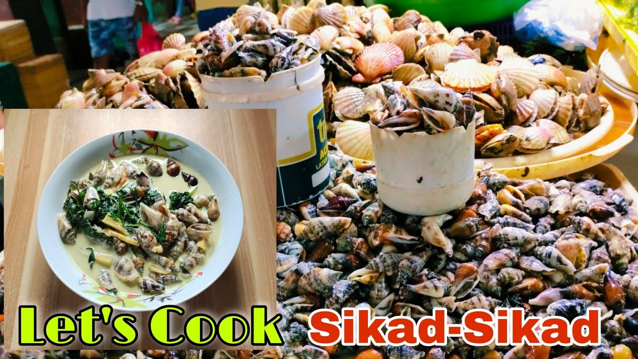 SIKAD-SIKAD SHELL. How to cook - YouTube