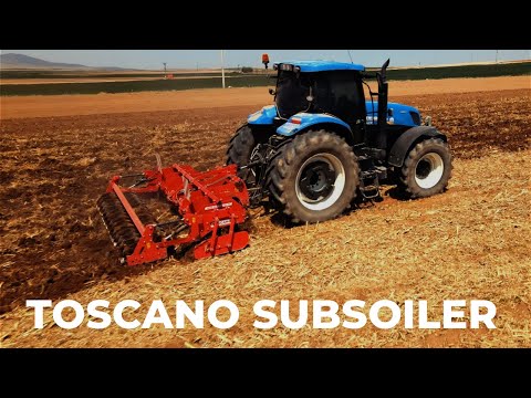 TOSCANO İTALYAN PATLATMA - STANDART