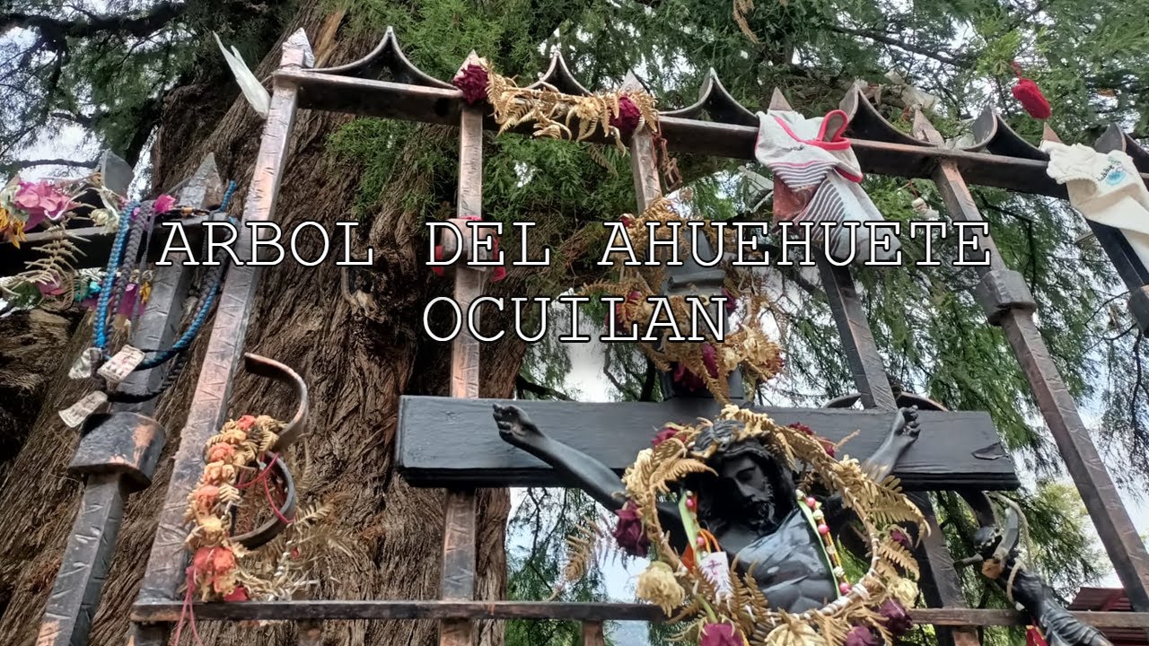 Ocuilan | Edo. Mex. | (Rumbo al árbol milenario del Ahuehuete) 🌳🏍🛣 ...
