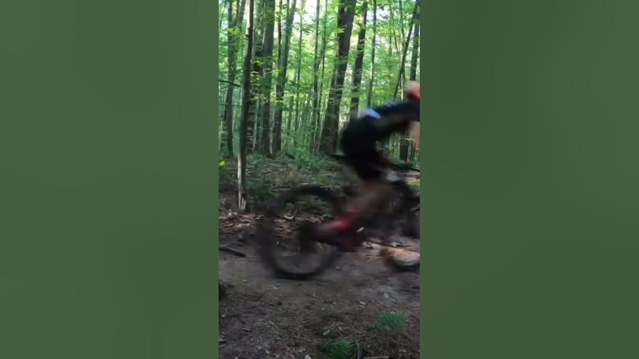 Big Log YouTube big-log-youtube