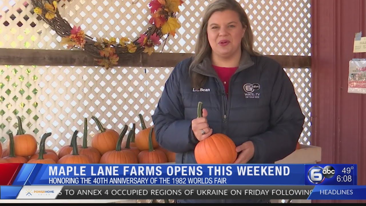 Maple Lane Farms opens this weekend - YouTube