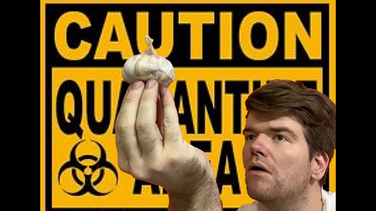 Coronavirus Under Beijing Quarantine DAY 8 - YouTube
