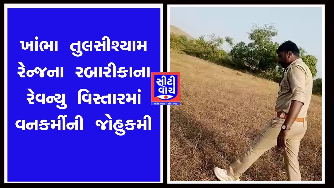 Khambha તુલસીશ્યામ રેન્જના રબારીકાના રેવન્યુ વિસ્તારમાં વનકર્મીની ...