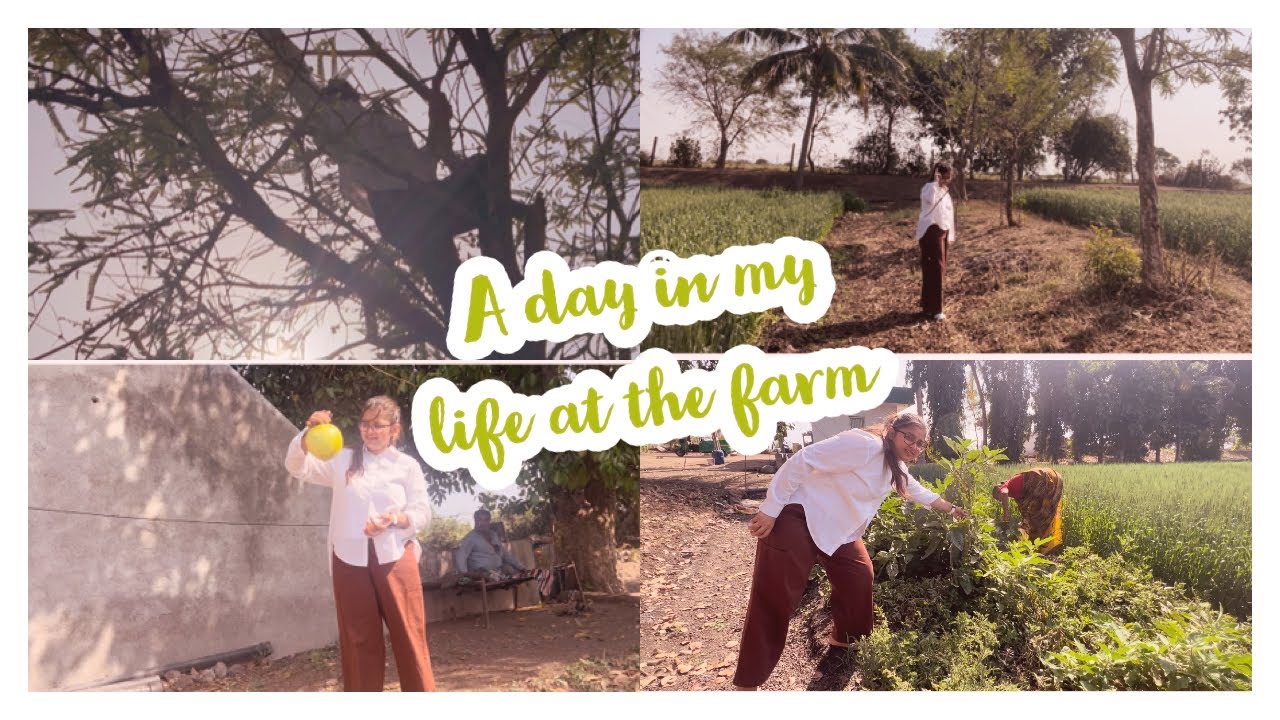 A day in my life at the farm 🌾 #dailylifestyle #gujrativlog #vlogs # ...