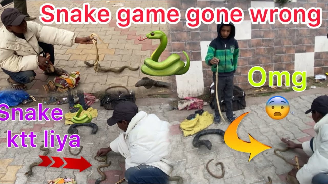 SNAKE GAME GONE RONG 🐍😮// SNAKE KTT LIYA // OMG 😨 - YouTube
